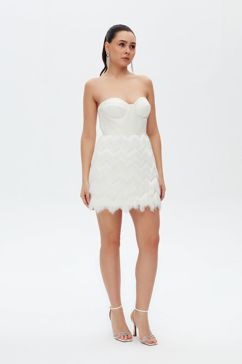 EMMA BRA FORM MINI DRESS – Barrus London